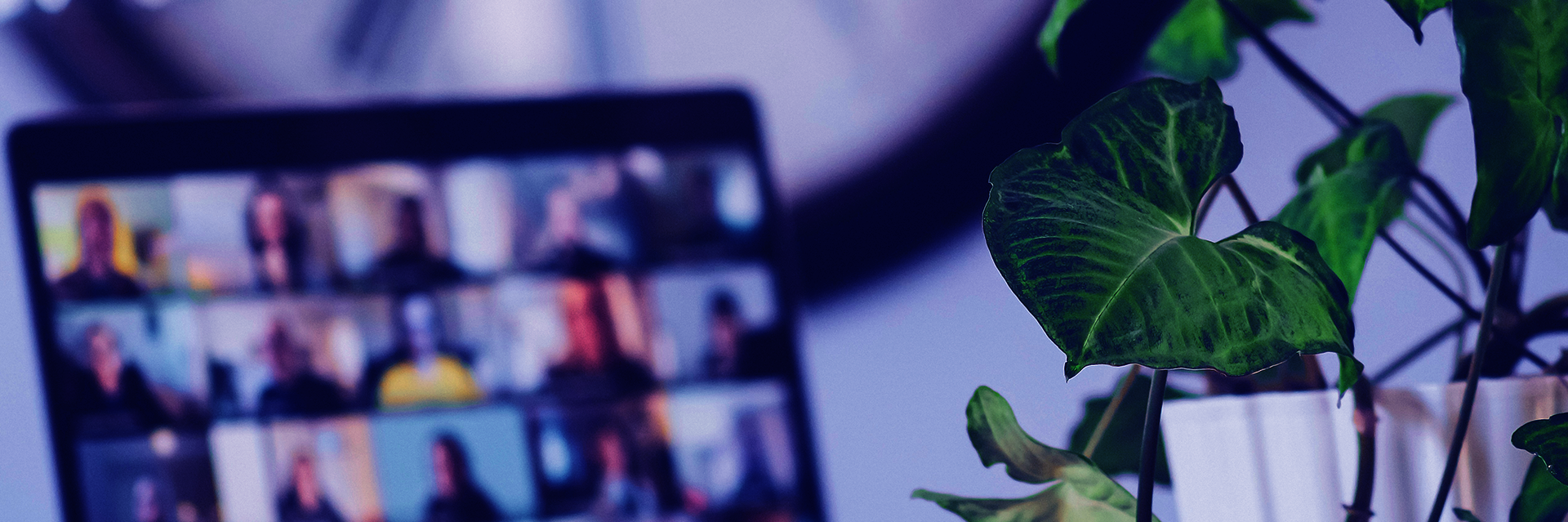 Rubrik Cloud - Data Protection Services | Harbor Solutions